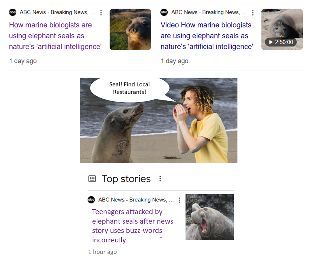 Coding – Maxine the Magnificent